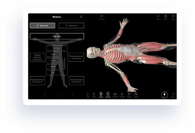 Visualization Software For Virtual Dissection Of Real