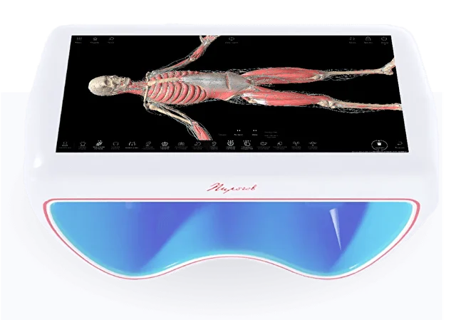 3d virtual anatomy table
